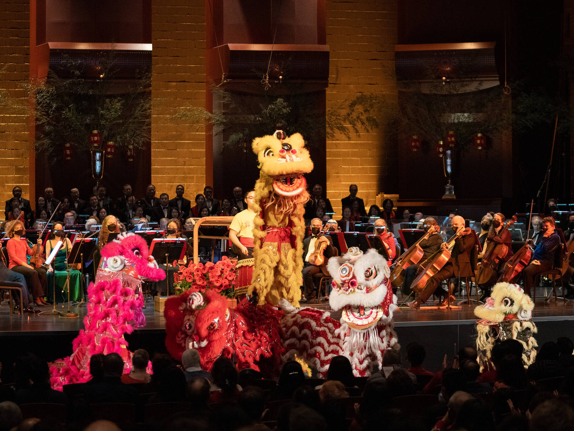 Where To Celebrate Lunar Chinese New Year in the U.S.