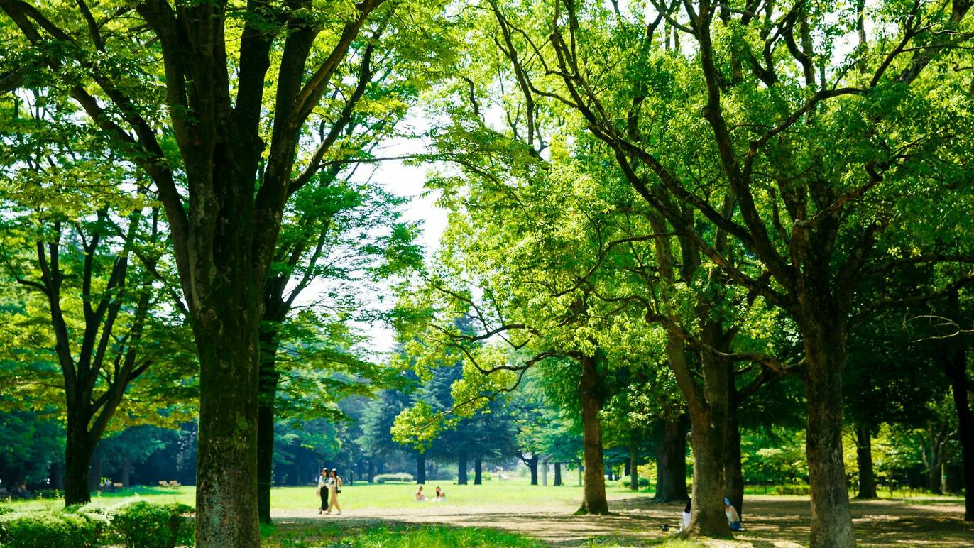 Ranked: The Cities With The Most Green Spaces
