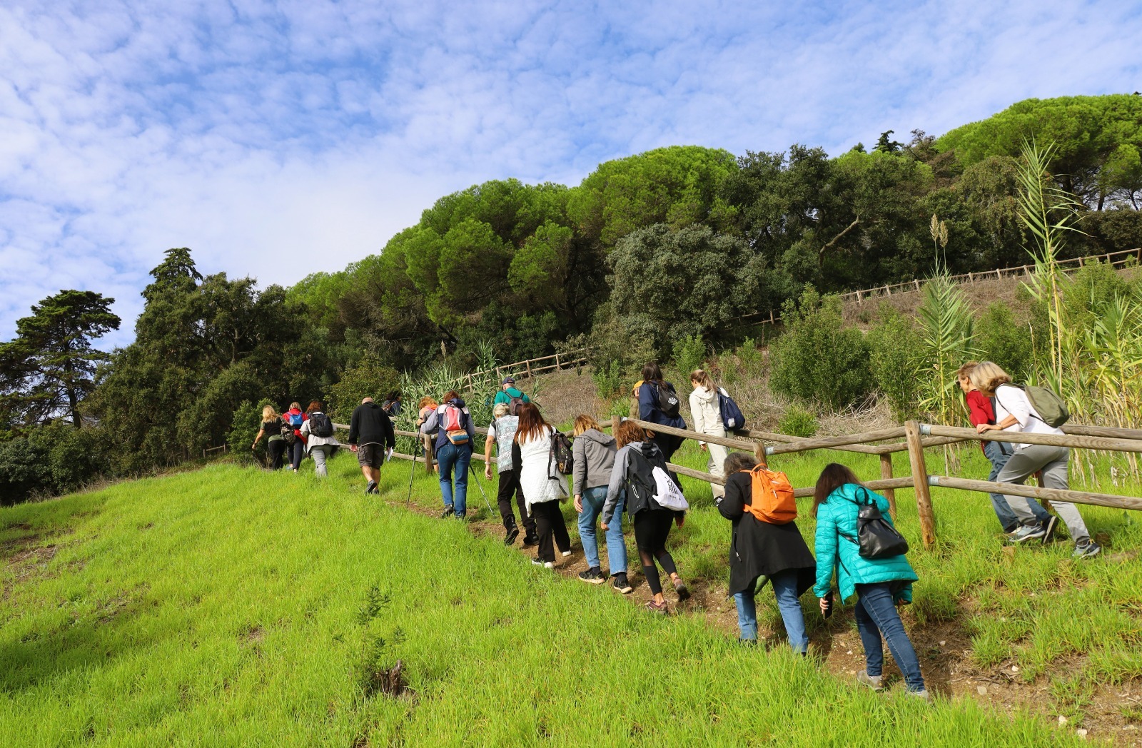 Parque Florestal de Monsanto faz 89 anos e a festa dura cinco dias