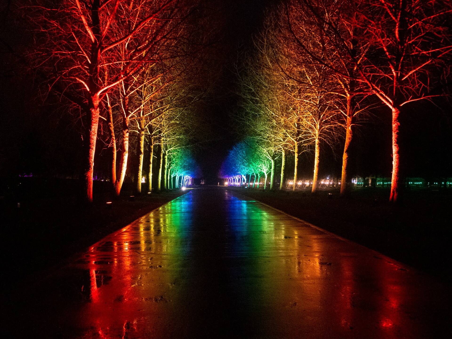 The 12 Best Christmas Events & Attractions in the UK – From Markets to ...