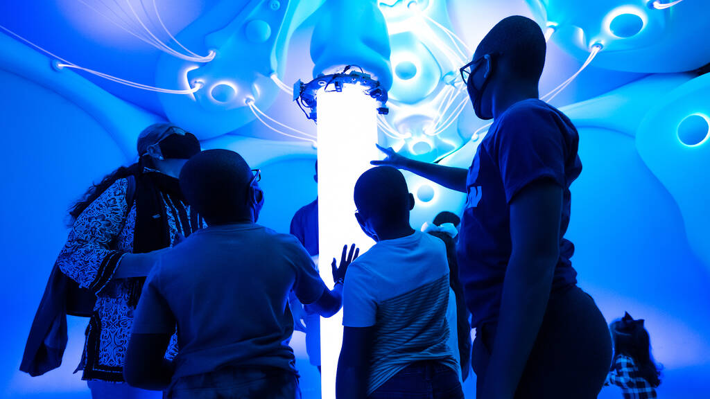 11 Best Immersive Experiences in the U.S. to Visit Right Now