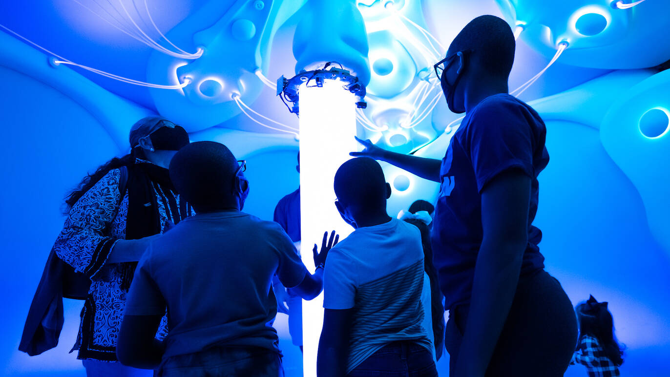 11 Best Immersive Experiences in the U.S. to Visit Right Now