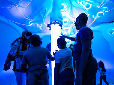 13 Best Immersive Experiences in the U.S. for All Ages