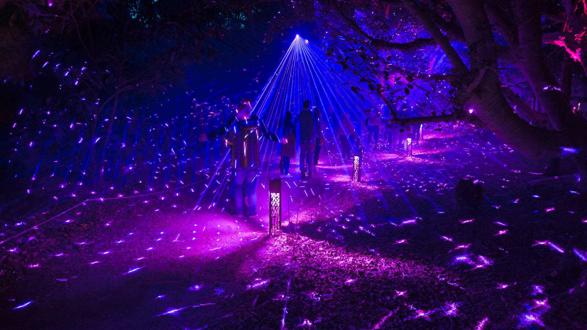 Astra Lumina is bringing a stellar night walk to South Coast Botanic Garden