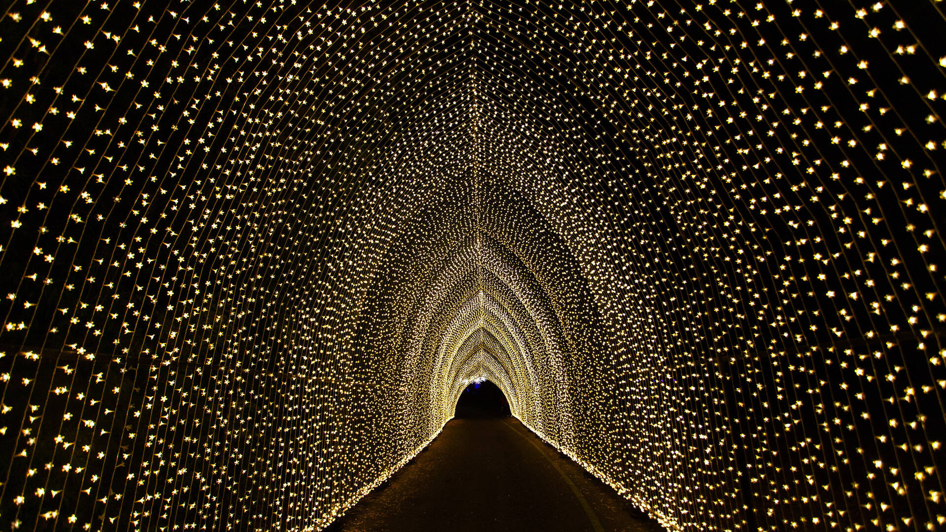 Lightscape is bringing glittering lights to the L.A. County Arboretum