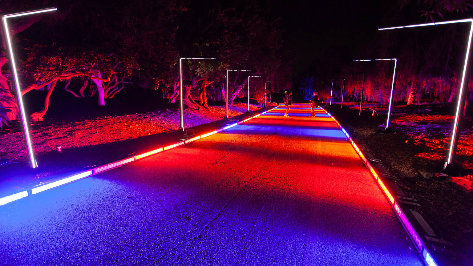 Lightscape is bringing glittering lights to the L.A. County Arboretum