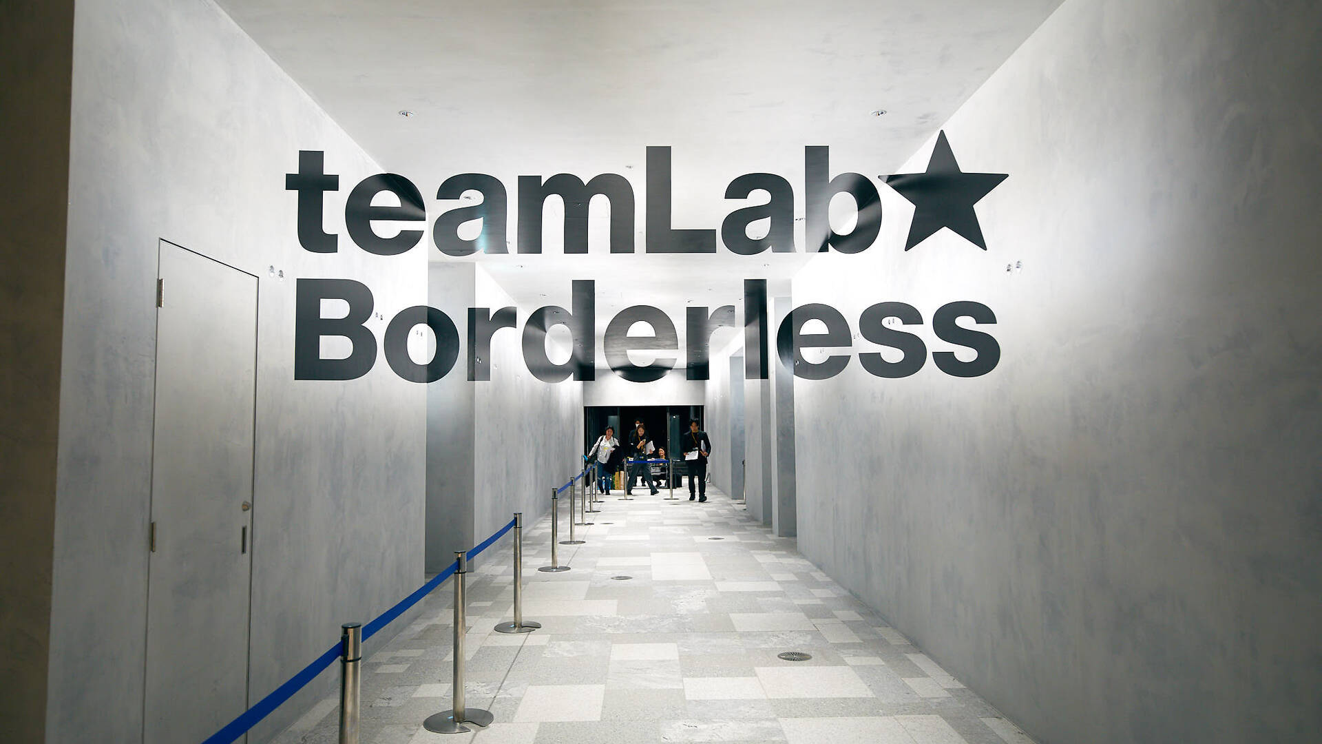 teamLab Borderless: Mori Building Digital Art Museum Epson