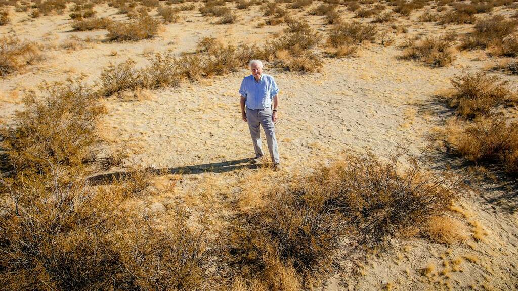 16 Best David Attenborough Documentaries And Where To Watch Them