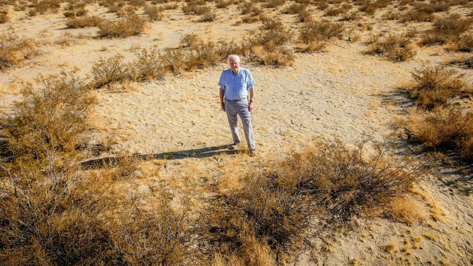 16 Best David Attenborough Documentaries And Where To Watch Them 16 Best David Attenborough Documentaries And Where To Watch Them