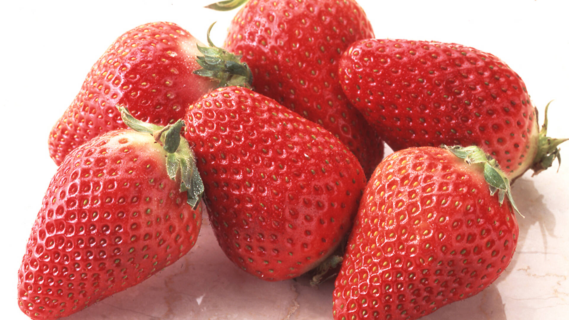 Takano Fruit Tiara Autumn Fruit Hunting | Restaurants in Tokyo