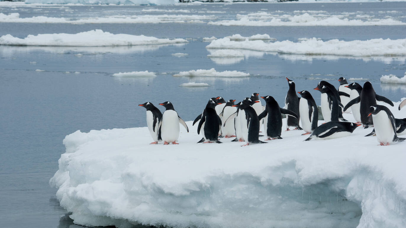 20 best virtual escape rooms for team building and small groups