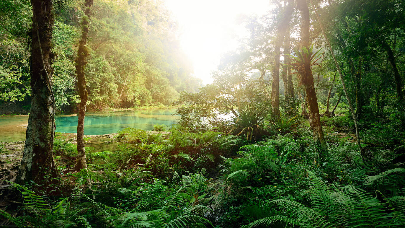 20 best virtual escape rooms for team building and small groups