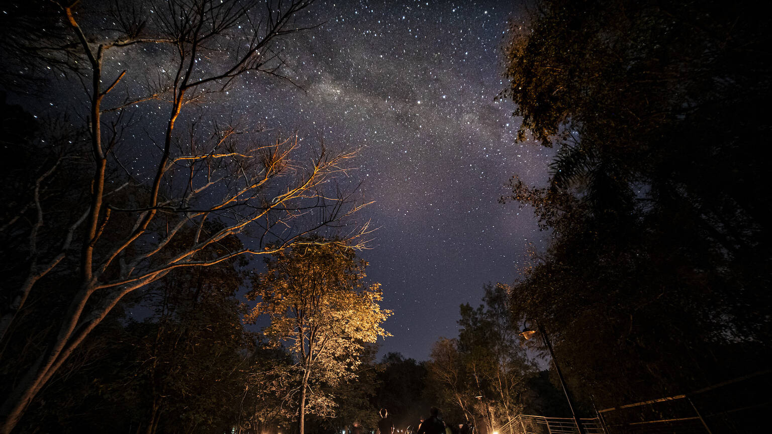 The 11 Best Places in the World for Stargazing