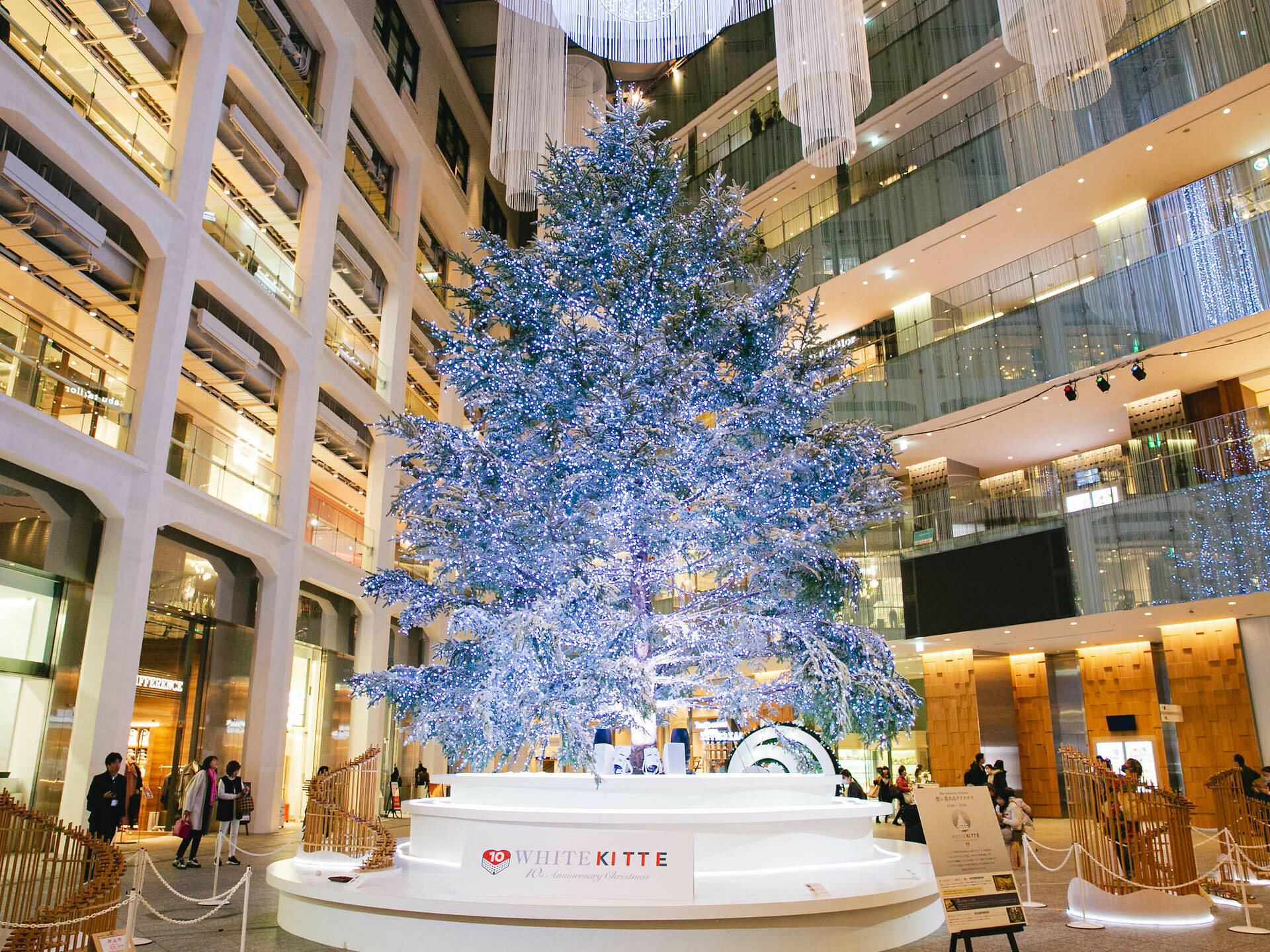 12 best Christmas trees in Tokyo