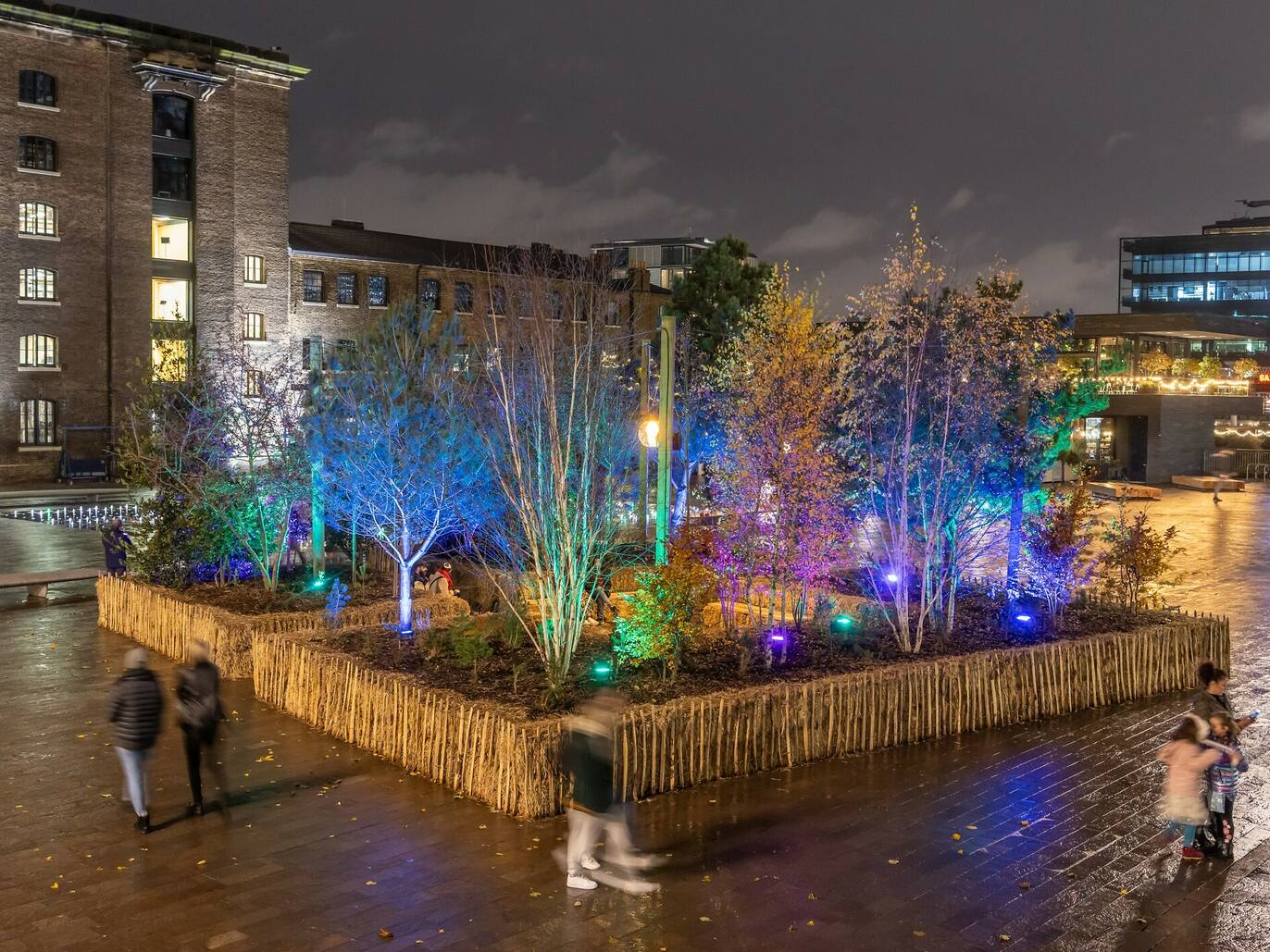 The Best Christmas Tree Displays in London 2023