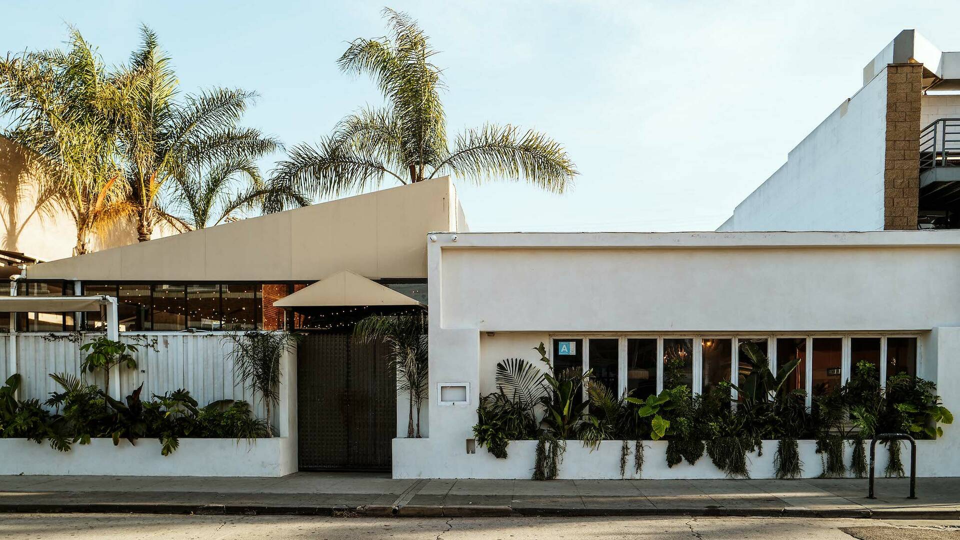 Si! Mon Review: Venice's delicious, pricey Panamanian seafood spot