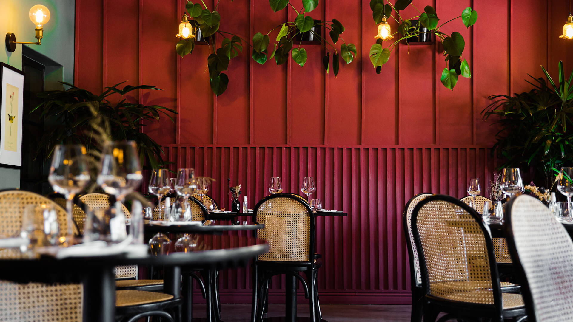 23 Best Restaurants on Bree Street, Cape Town: a local's pick