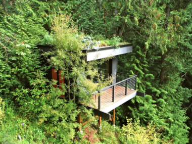 17 Best Airbnb Treehouses in the U.S. | Unique U.S.Treetop Stays