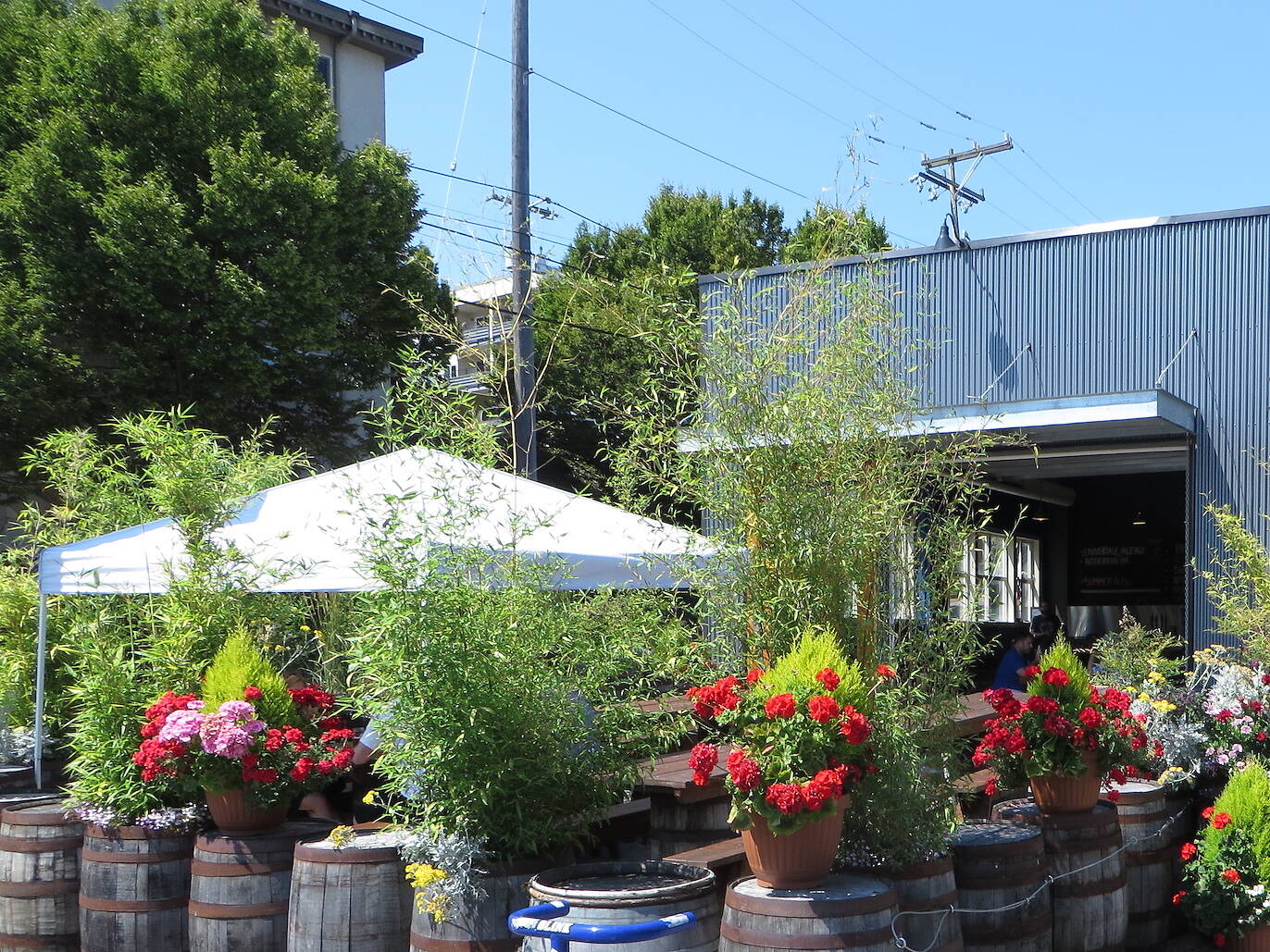 19 Best Seattle Breweries for Creative Brews and Cold Beer