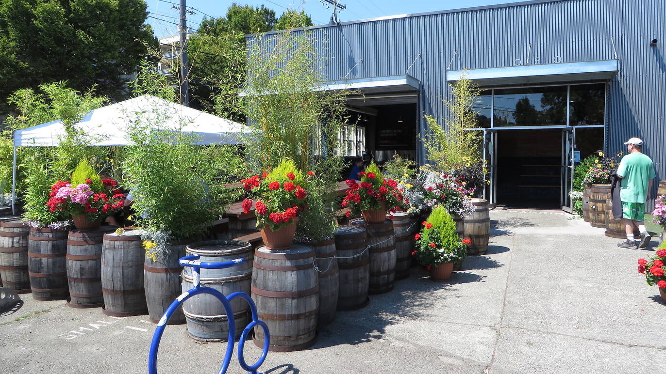 19 Best Seattle Breweries for Creative Brews and Cold Beer