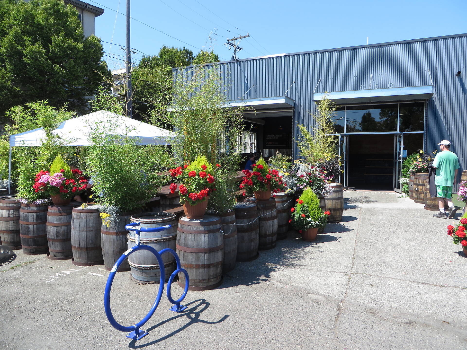 19 Best Seattle Breweries for Creative Brews and Cold Beer