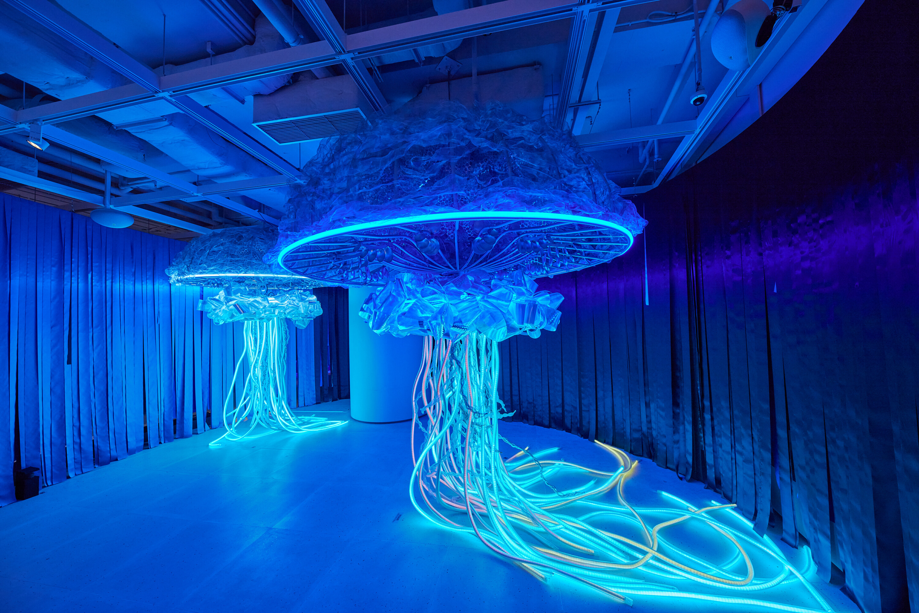 Bluetopia digital aquarium at Airside | Things to do in Hong Kong