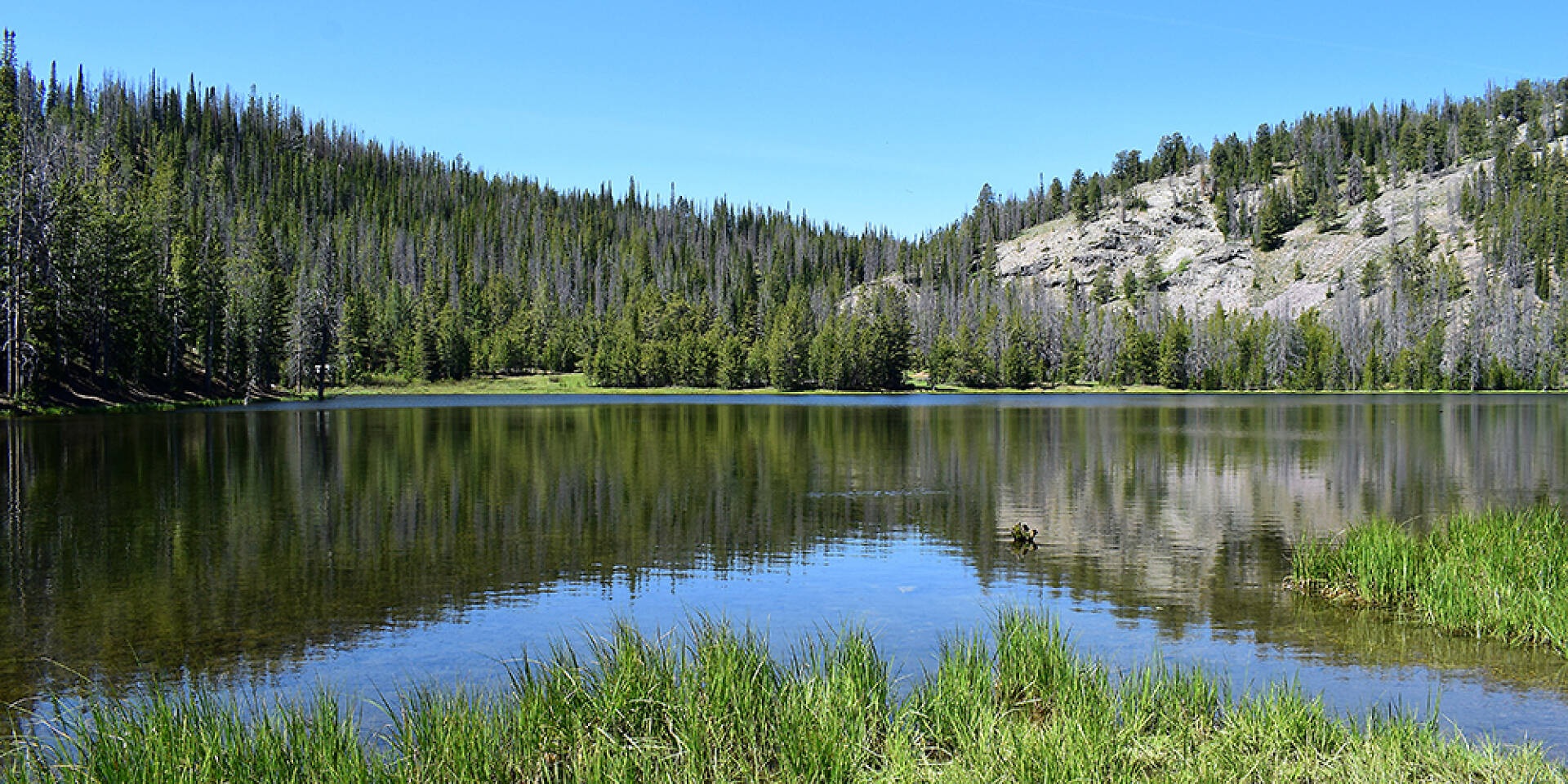 18 Best National Forests in the U.S. To Explore Right Now