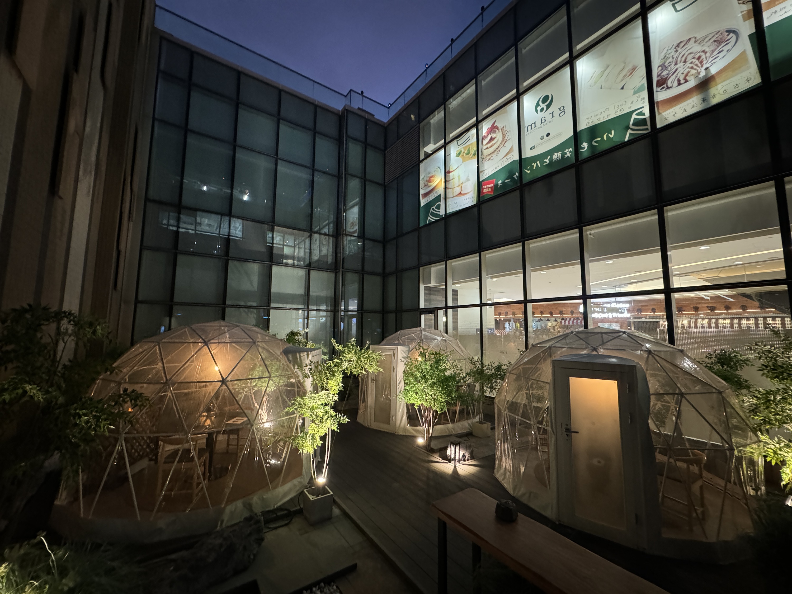 Stella Kappo | Restaurants in Tsim Sha Tsui, Hong Kong