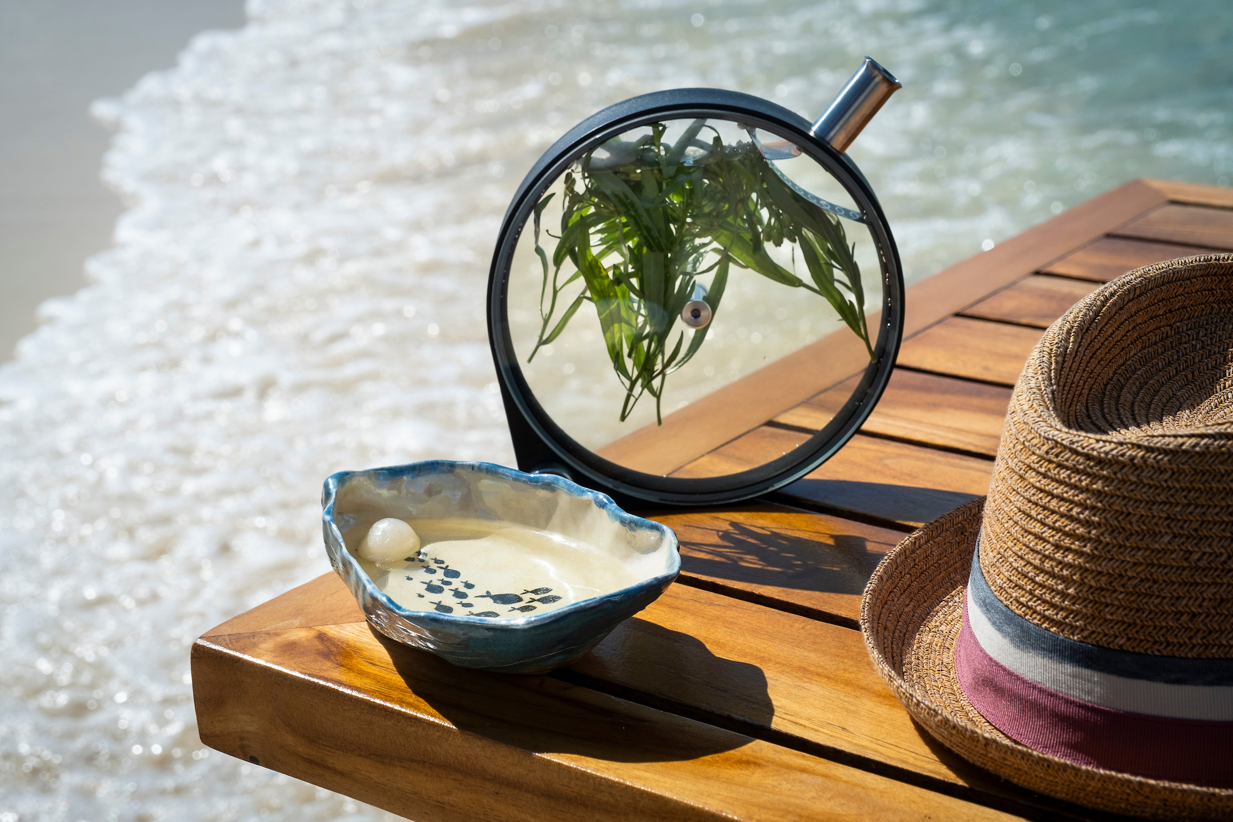 Library By The Sea at Kimpton Seafire Resort + Spa is literary and luxe