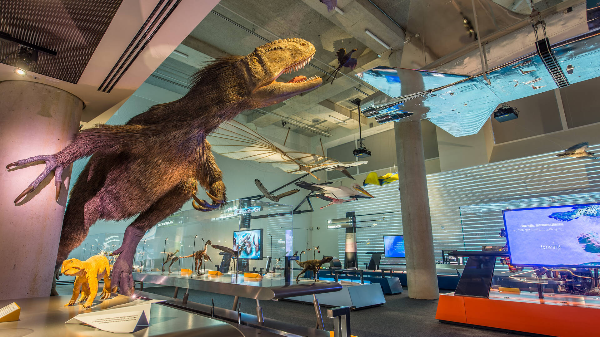 Phillip and Patricia Frost Museum of Science | Miami, FL | Things to do ...
