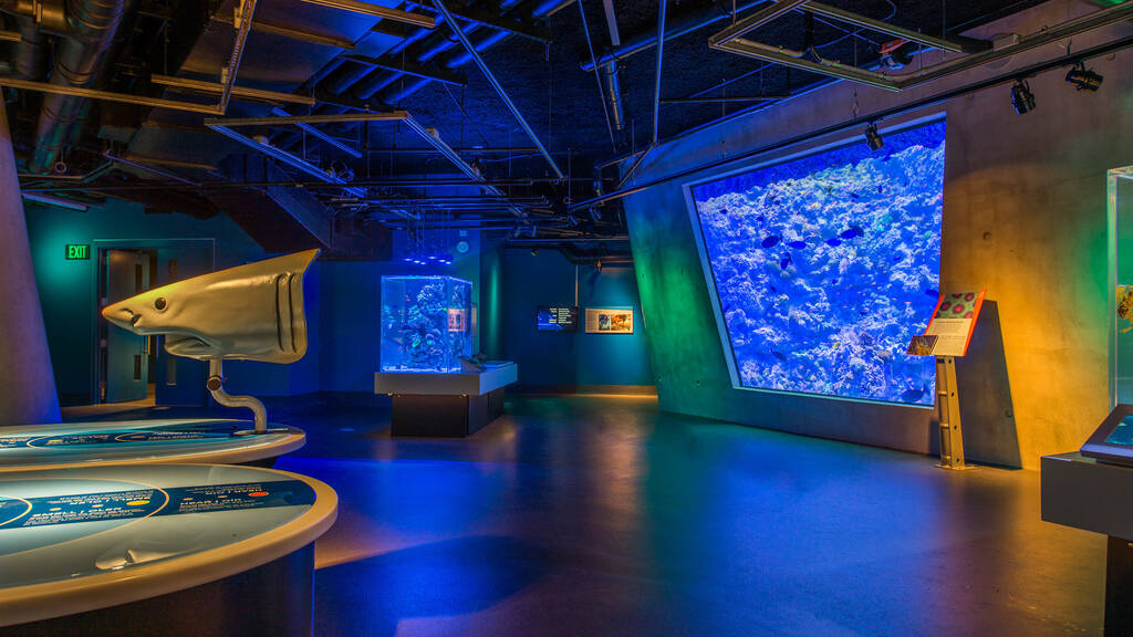 Phillip and Patricia Frost Museum of Science | Miami, FL | Things to do ...