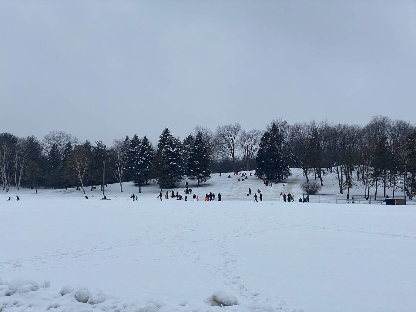 18 Best Sledding Hills in Chicago