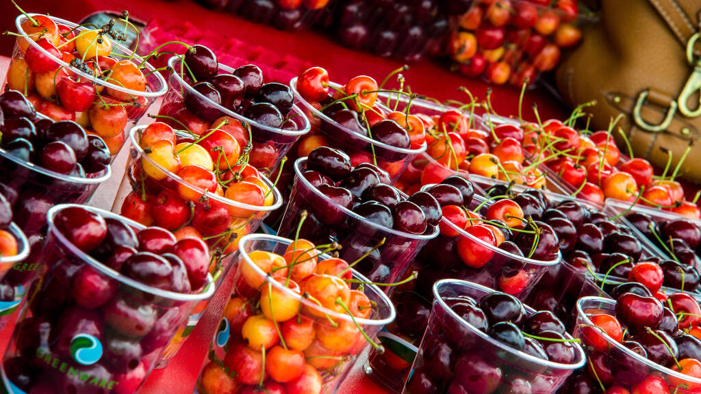 9 Best Farms to Visit During Cherry Picking Season in New York