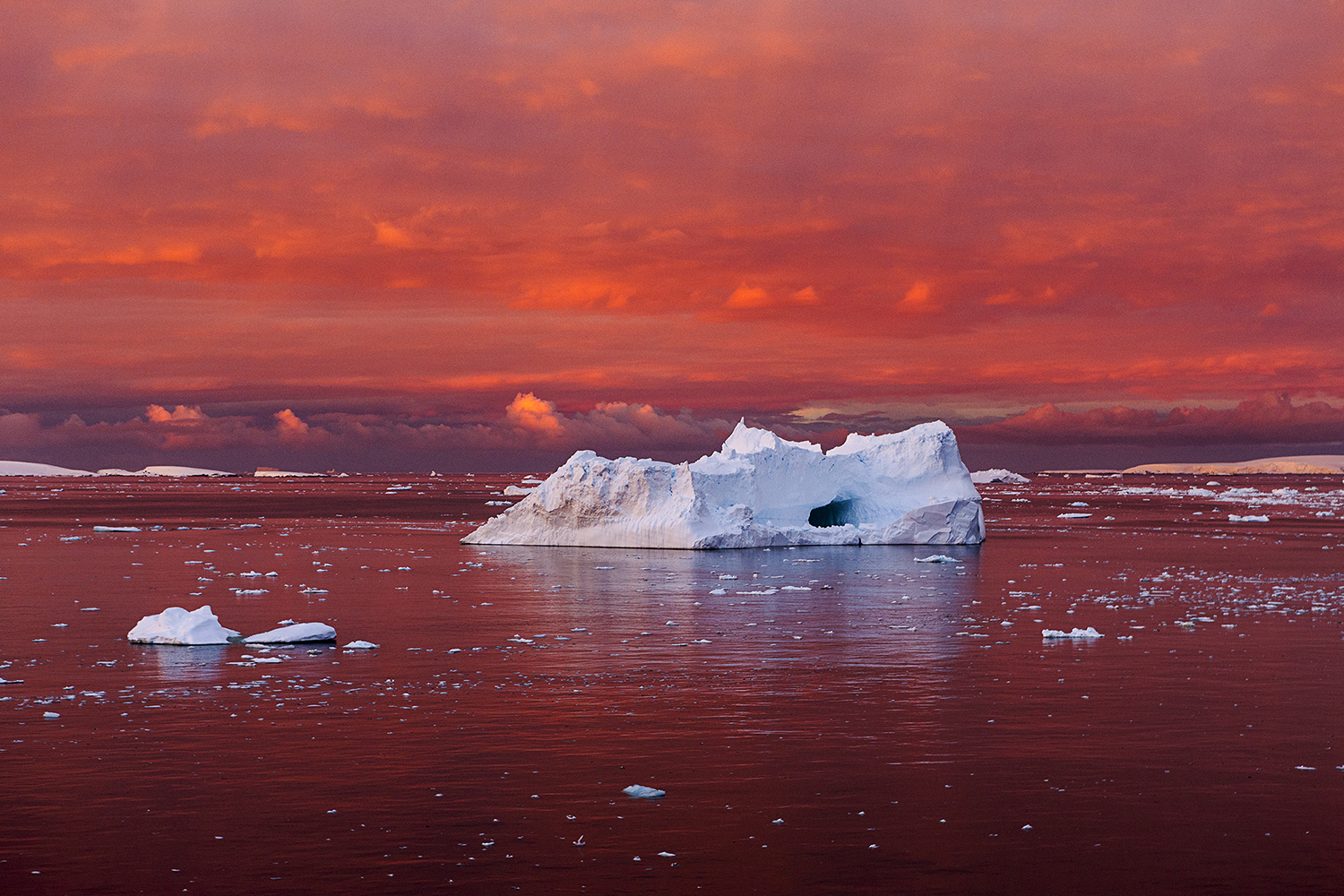 COAL + ICE at Asia Society Museum | Art in New York
