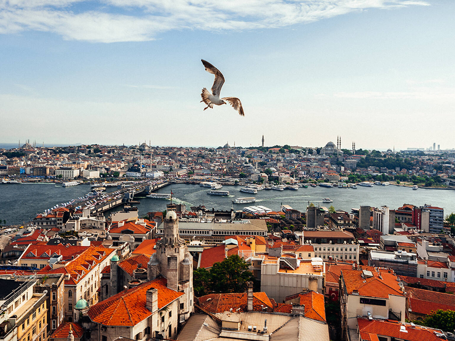 Time Out Istanbul - Events, Attractions & What's on in Istanbul