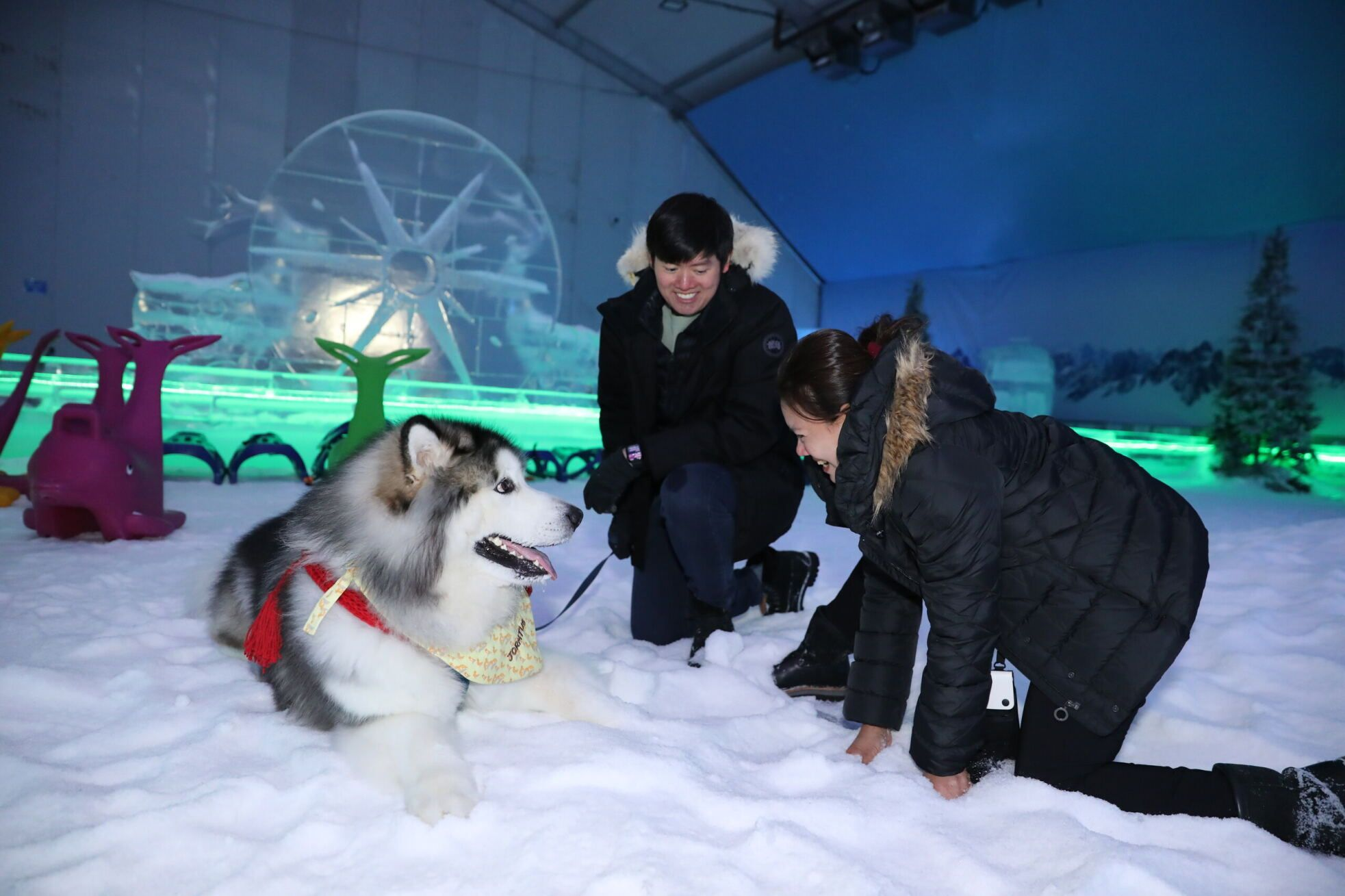 Four Paws @ Ice Magic: Dog-Friendly Winter Pop-Up In Singapore With ...