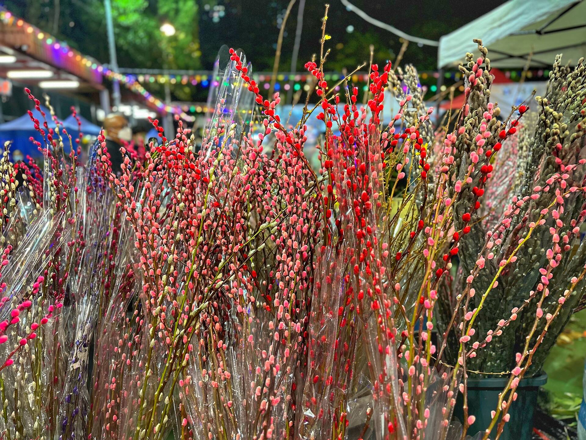 Your Guide To Auspicious Chinese New Year Flowers And Fruits