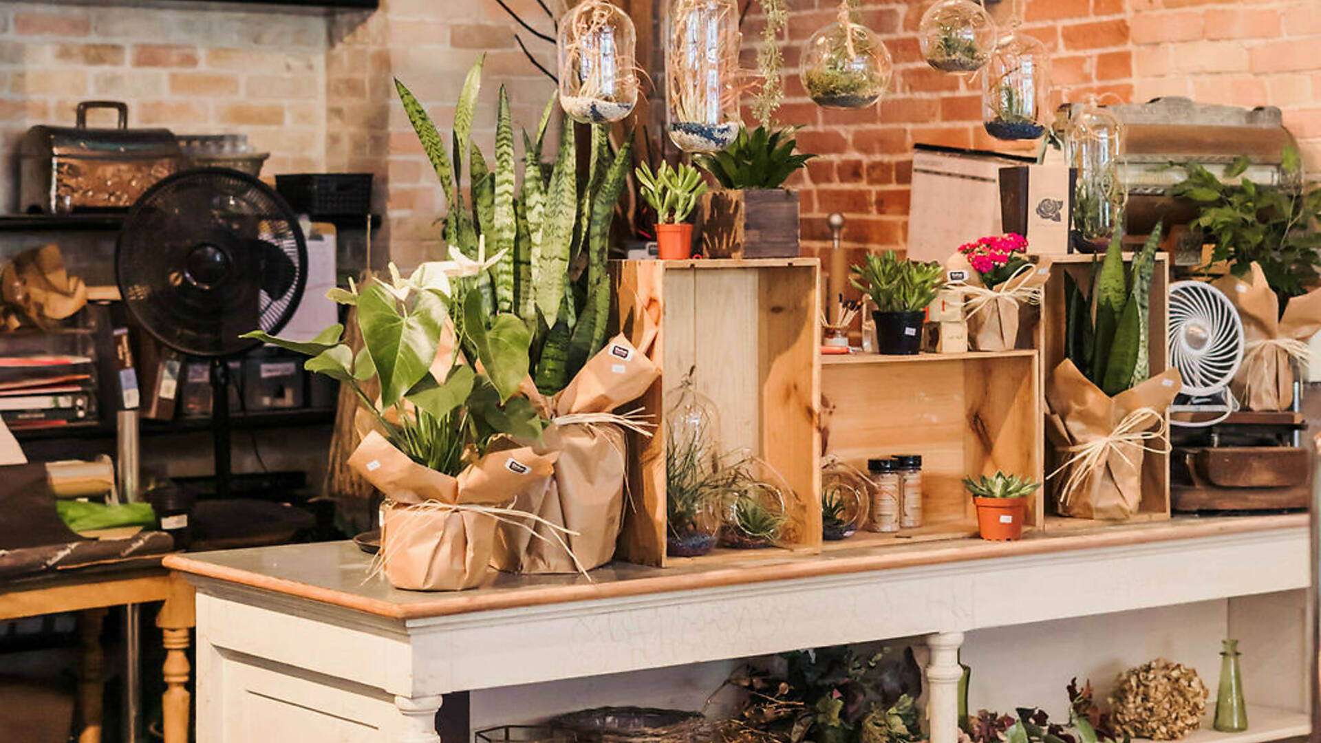 10 Best Flower Shops in Austin For All Your Floral Needs