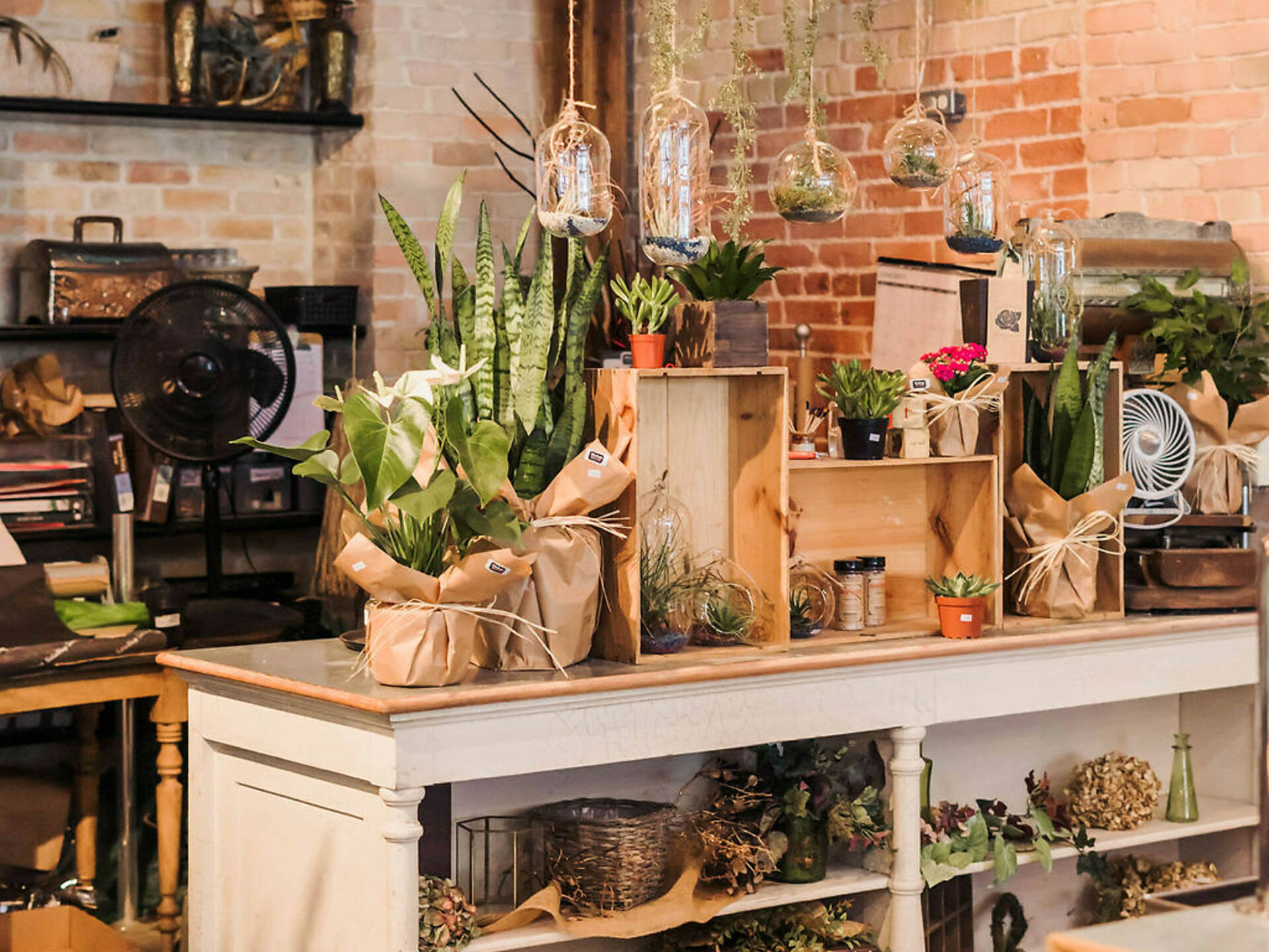 10 Best Flower Shops in Austin For All Your Floral Needs