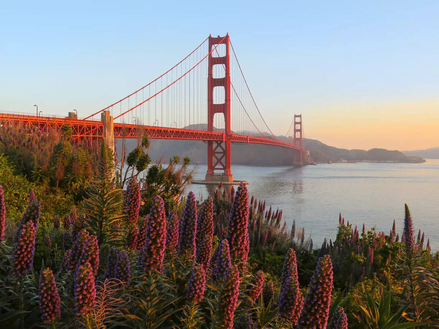 Check Out the 45 Best Things to Do in San Francisco Right Now