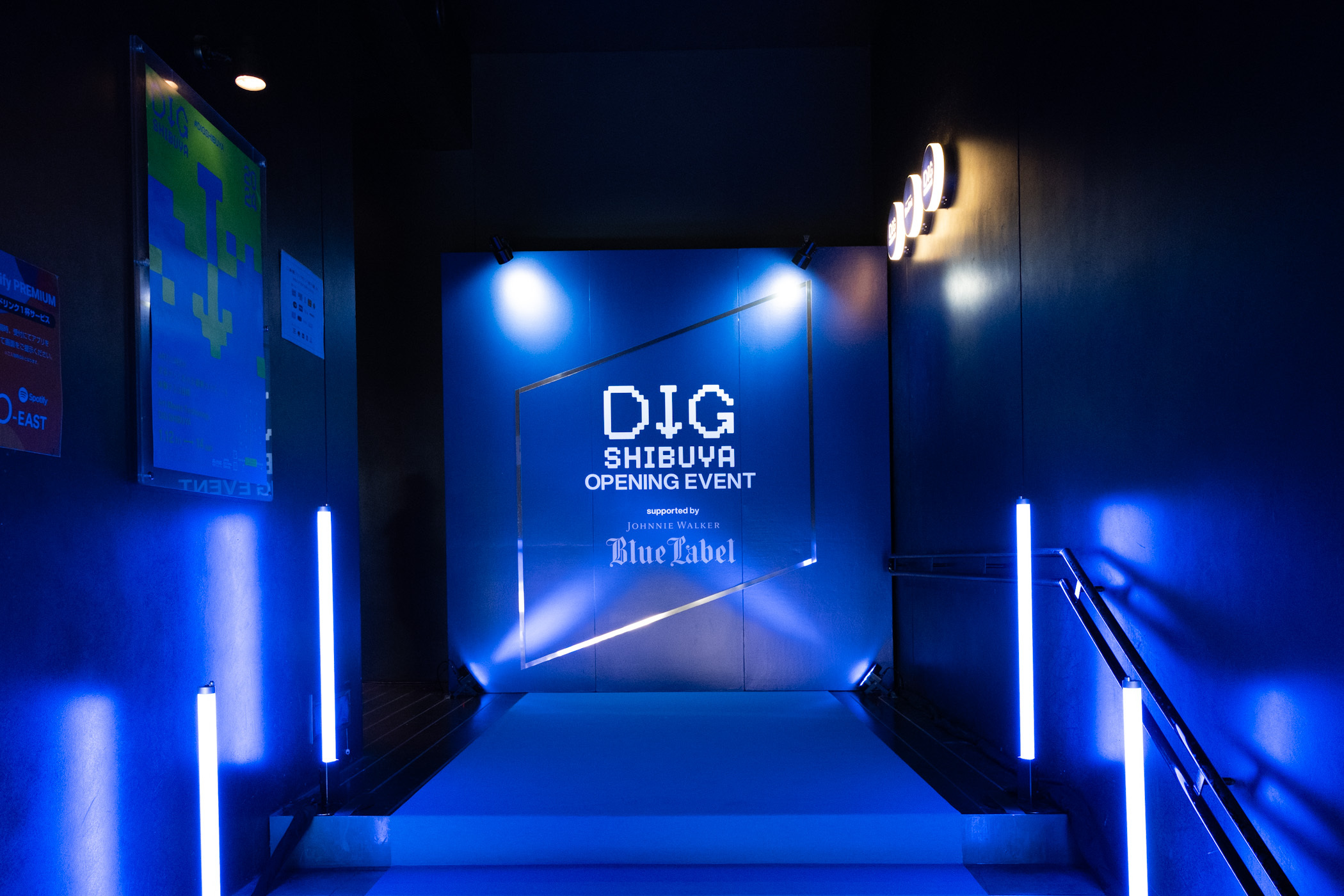 Dig Shibuya | Things to do in Tokyo