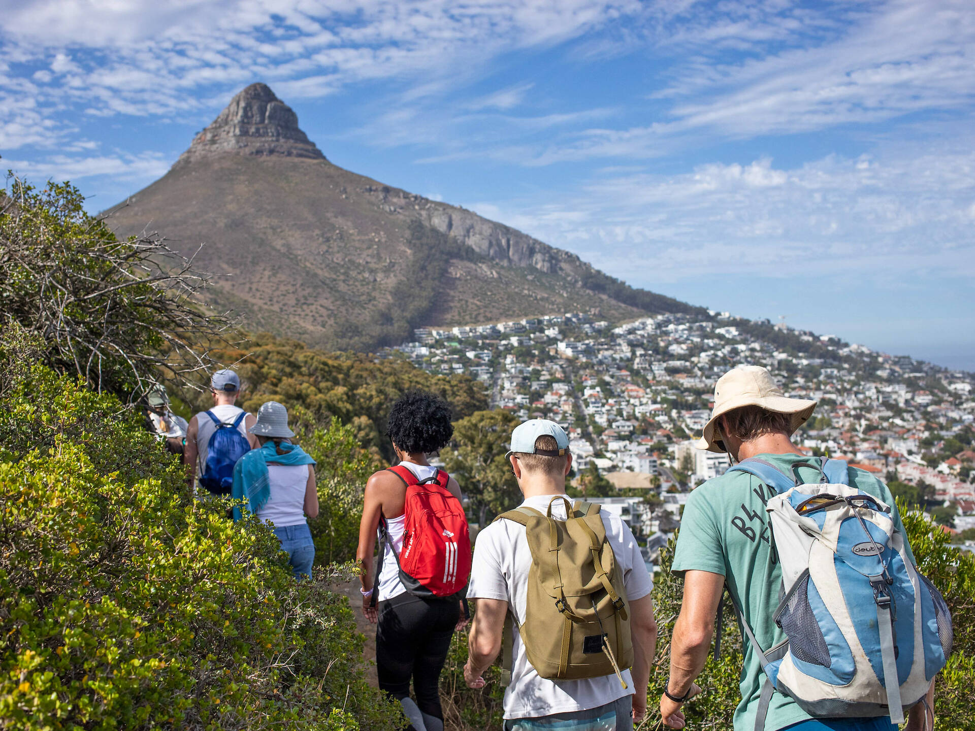 13 Best Things To Do in Cape Town