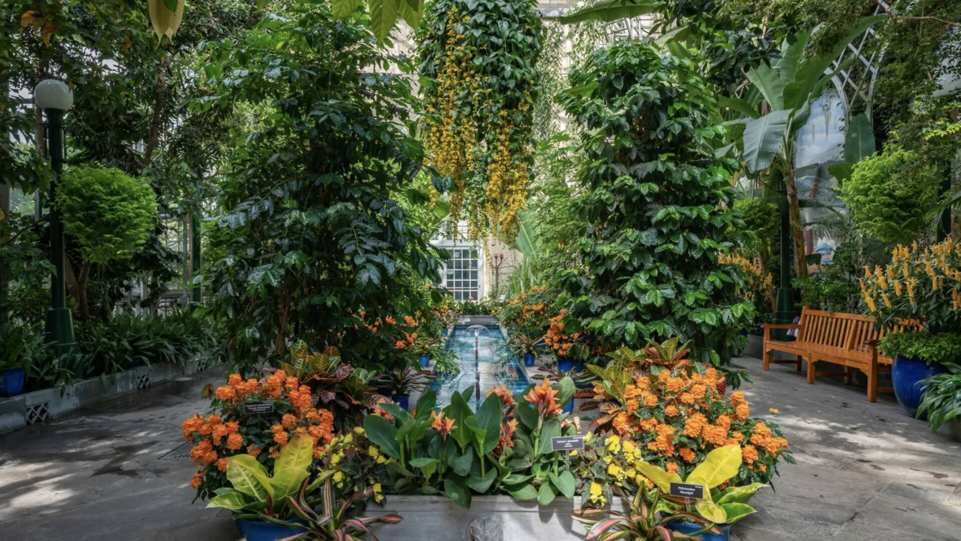 America's Coolest Indoor Botanical Gardens, Conservatories and Green Spaces