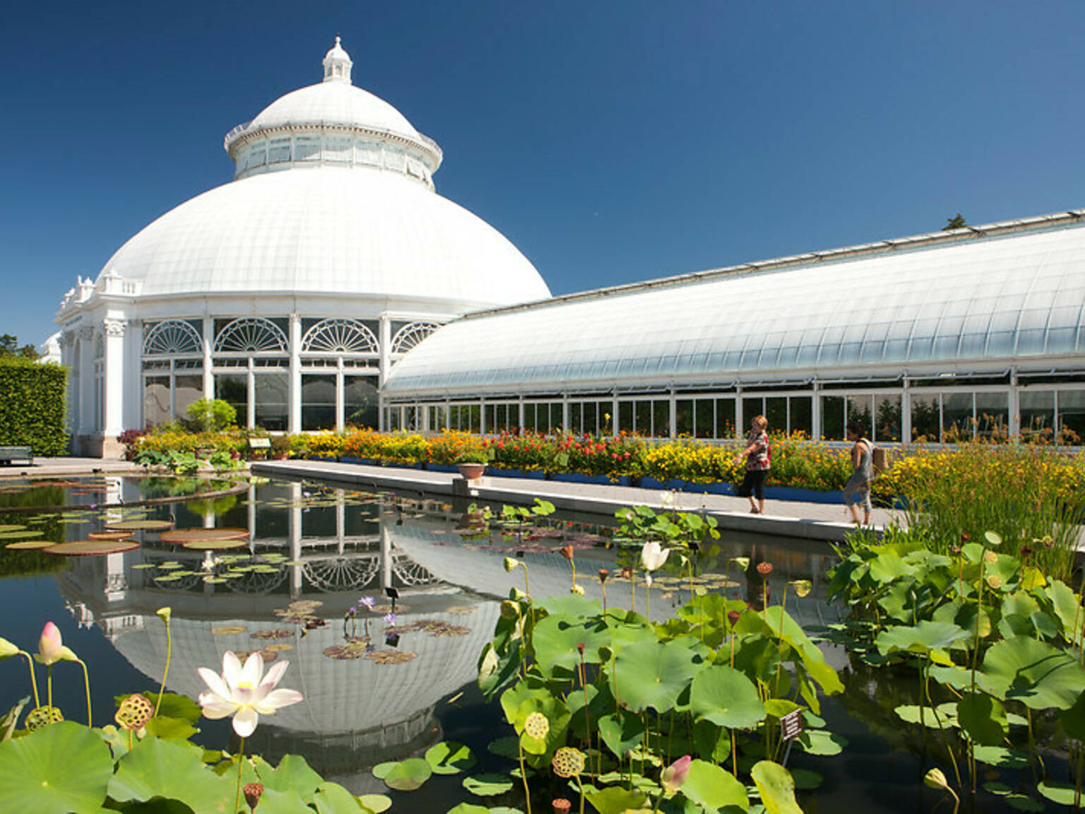 America's Coolest Indoor Botanical Gardens, Conservatories and Green Spaces