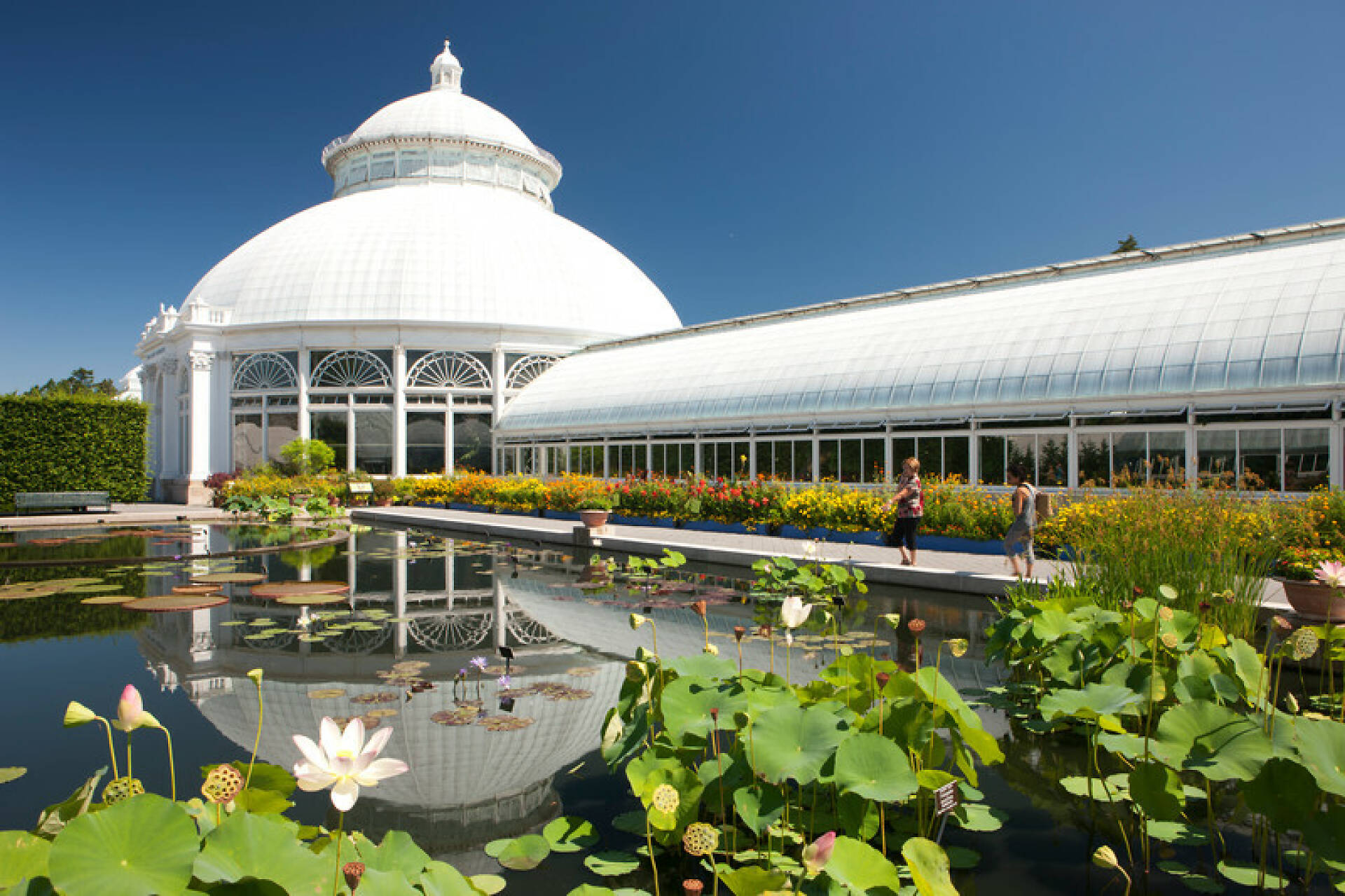 America's Coolest Indoor Botanical Gardens, Conservatories and Green Spaces