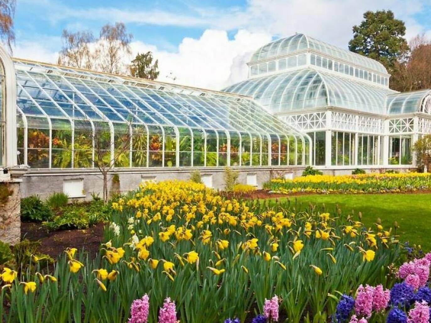 America's Coolest Indoor Botanical Gardens, Conservatories and Green Spaces