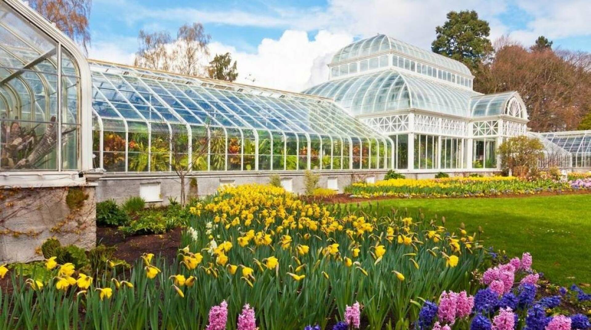 America's Coolest Indoor Botanical Gardens, Conservatories and Green Spaces