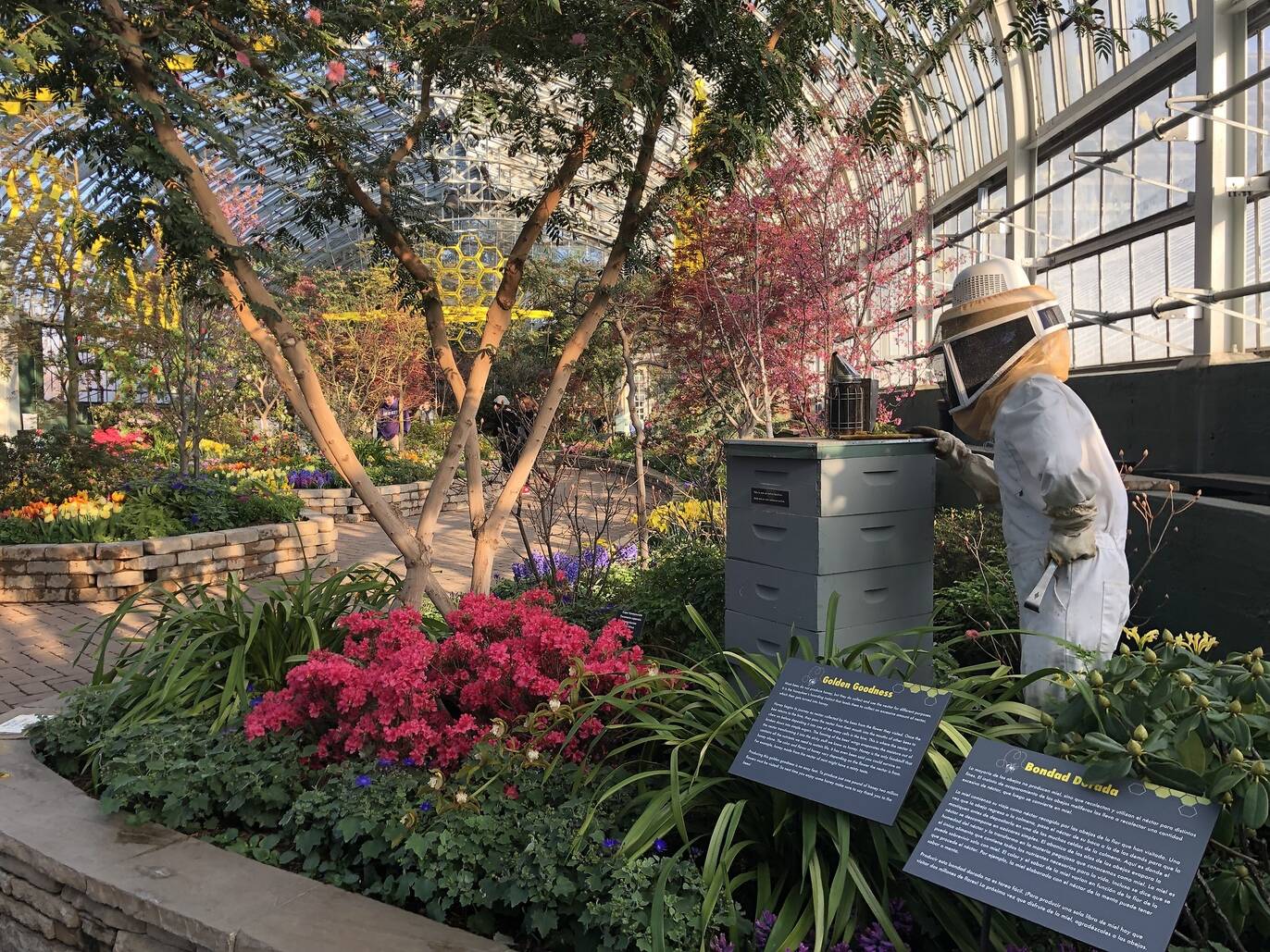 America's Coolest Indoor Botanical Gardens, Conservatories and Green Spaces