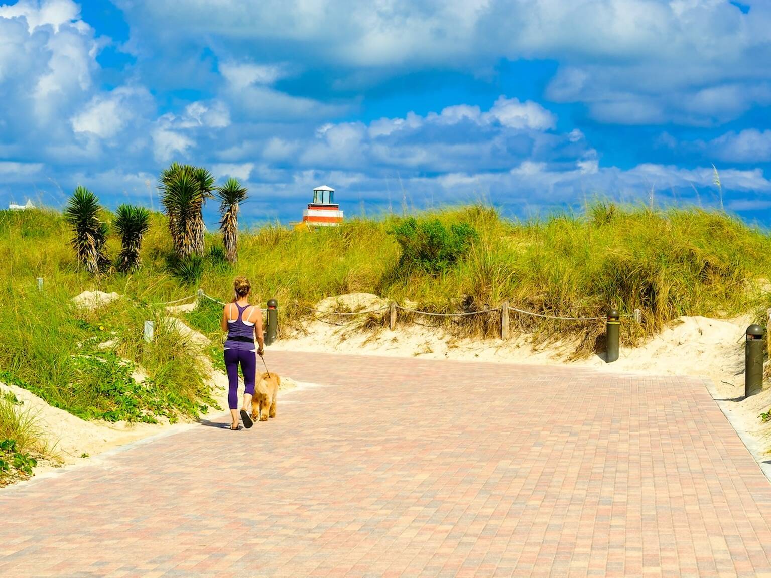 8 Dog-Friendly Beaches and Waterfronts in Miami and South Florida