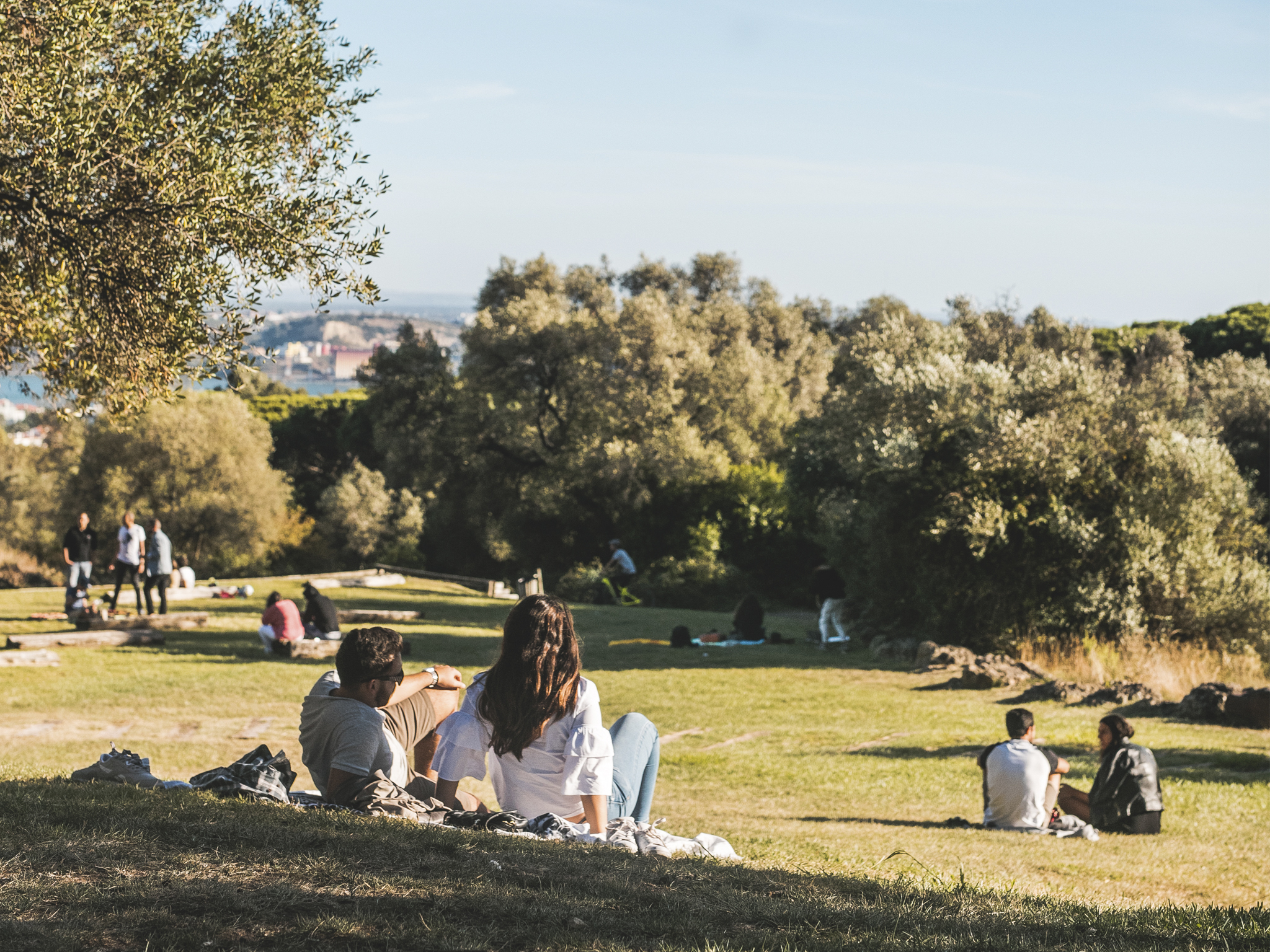 Passeio pelo Parque Florestal de Monsanto | Coisas para fazer in Lisboa